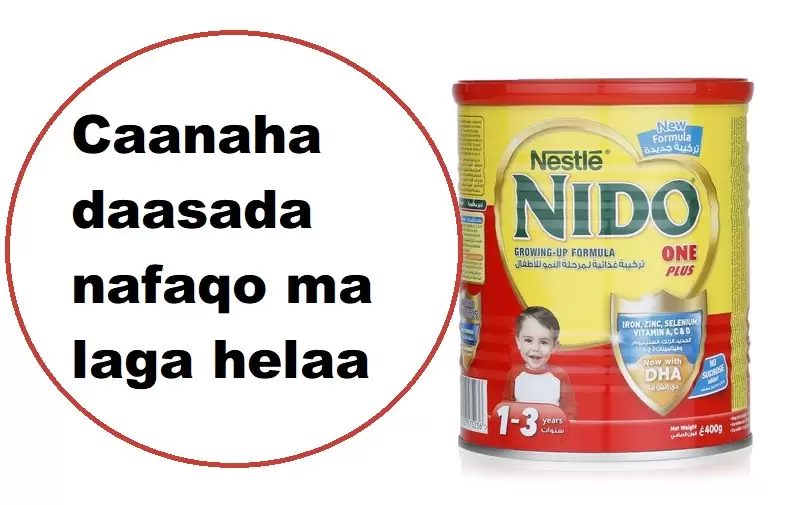 Caanaha Daasada Nafaqo Ma Laga Helaa | Daruur
