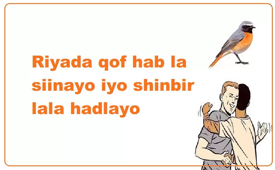 Riyada qof hab la siinayo iyo shinbir lala hadlayo