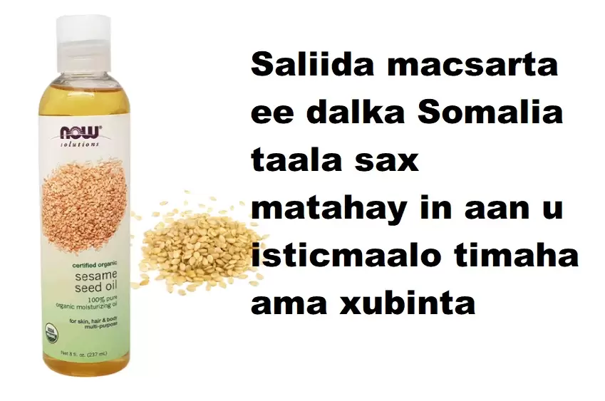 Saliida Macsarta Ee Dalka Somalia Taala Sax Matahay In Aan U Isticmaalo ...