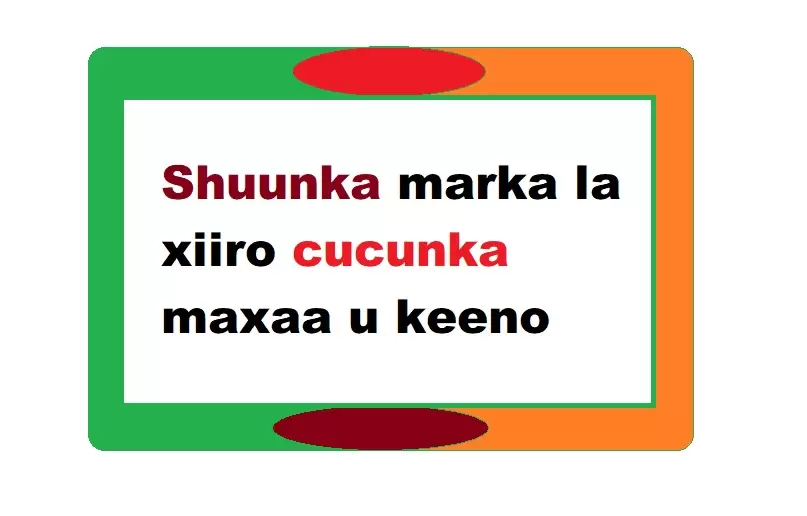 Shuunka marka la xiiro cucunka maxaa u keeno